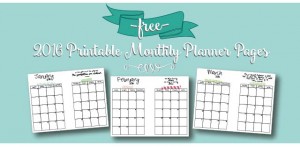 Free Printable 2016 Monthly Calendar A5 Pages | Live Craft Eat