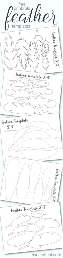 Printable Turkey Feather Patterns & Templates - Free | Live Craft Eat